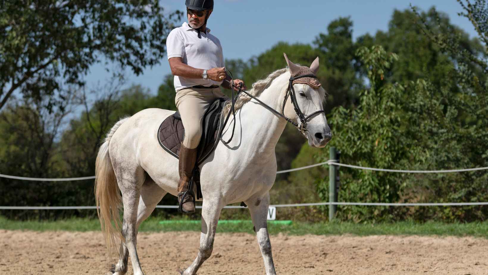 wenn sich das pferd nicht biegt: was ist schuld, was hilft? - denktier ...